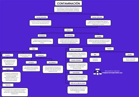 Mapas conceptuales de la Contaminación Descargar
