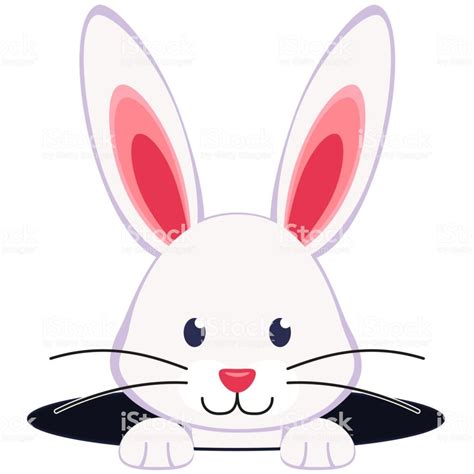 Conejo Vector At Vectorified Collection Of Conejo Vector Free For