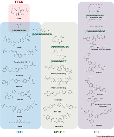 Targeting Gpcrs Activated By Fatty Acid Derived Lipids In Type