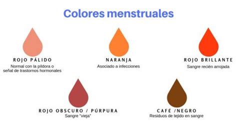 Como Es El Color De La Menstruacion Si Estas Embarazada Infoupdate Org
