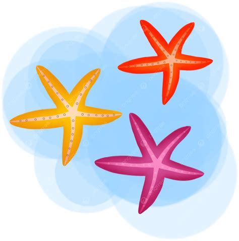 Estrella De Mar PNG Estrella De Mar PNG De Colores Estrella