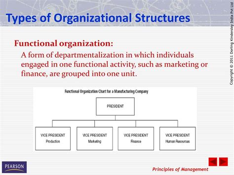 Types Of Organizational Chart In Management Types Of Organizational