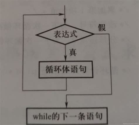 小张张带你0基础学习c语言循环（for循环语句、while循环语句、do while循环语句） 航行学园