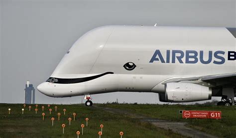 Airbus un Beluga XL senlise à laéroport Albert Picardie il est
