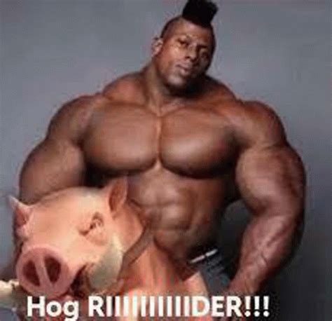 Hog Rider Hog Rider Discover Share GIFs