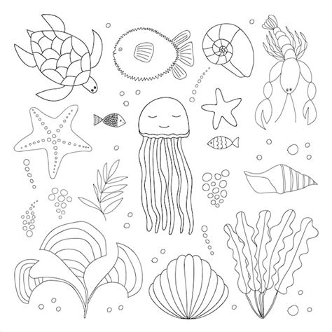 Conjunto De Grandes Animais Marinhos Vector Sealife Para Colorir Peixes