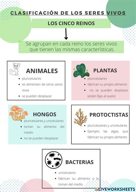 Pin En Ciencias N