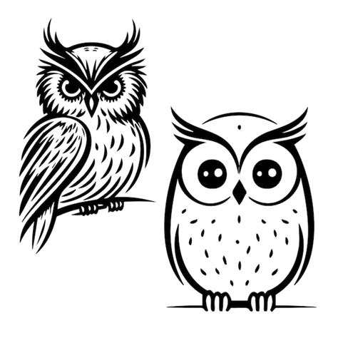 Ensemble De Logo De Hibou Silhouette Vectorielle De Logo De Hibou