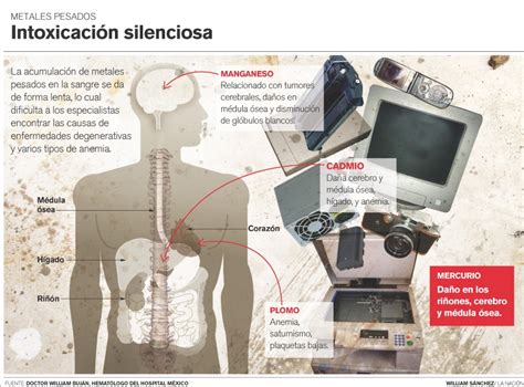 La Iniciativa StEP Lanza Un Mapa Para Luchar Contra El Problema De La