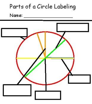 Parts Of A Circle Labeling By Olivia Marshall TPT