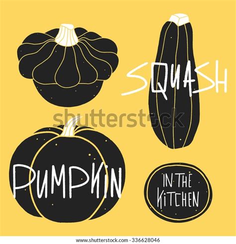 Set Hand Drawn Squashes Pumpkin Custard Stock Vector Royalty Free