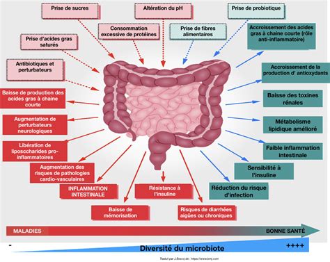 TP TD 3 La révolution microbiote Vieterre