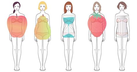 Cómo saber qué tipo de cuerpo tengo test Incluye VÍDEO