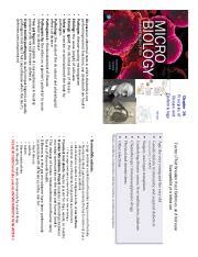 Ch Disease Epidemiology Study Guide Pdf Pdf