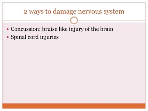 PPT Divisions Of The Nervous System PowerPoint Presentation Free