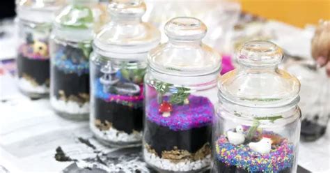 Introduction To Terrariums In Singapore 2024 Team Building Singapore