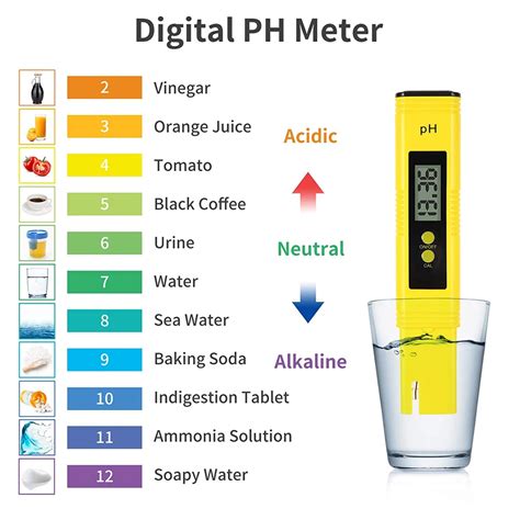 Mesure controle Testeur d eau numérique TDS haute précision 0 14 PH