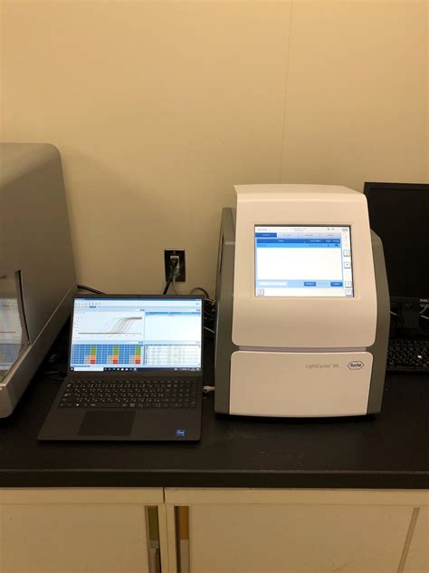 Pcr Roche Lightcycler
