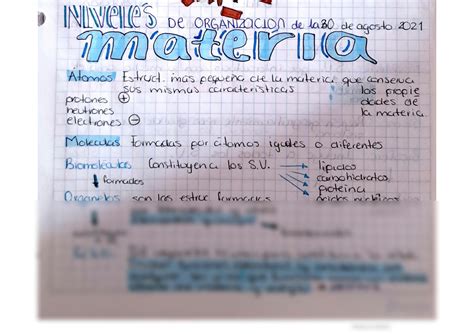 Solution Niveles De Organizacion De La Materia Studypool
