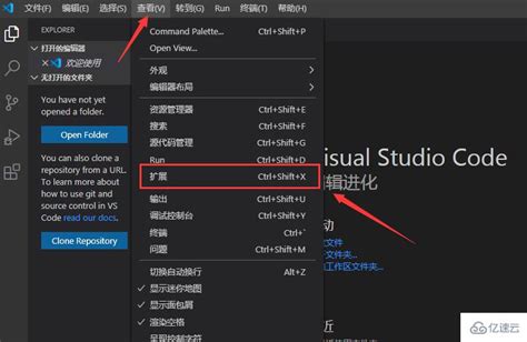 vscode在线安装插件的方法 软件技术 亿速云