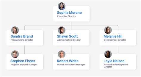 Nonprofit Organizational Charts What Are They And Why Are They Vital