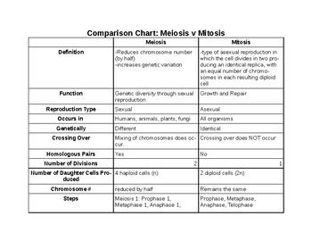 Mitosis Vs Meiosis Chart Worksheet Answers Tutore Org Master Of
