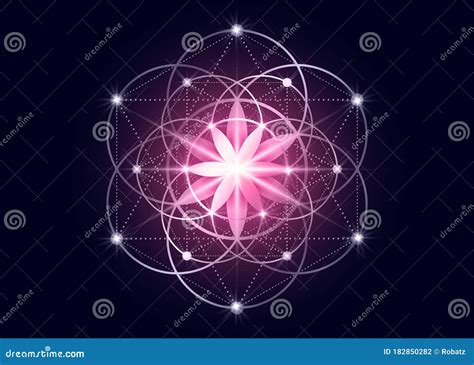 Semente Do Símbolo Da Vida Geometria Sagrada Mandala Geométrica