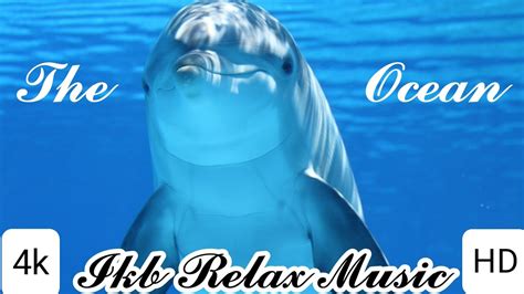 Relaxing Music With Ocean Waves Beautiful Piano Sleep Music Stress