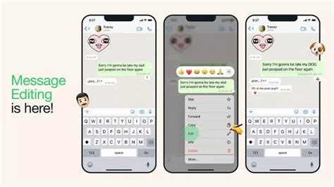 Ya conoce la nueva función de WhatsApp podrá editar mensajes ya