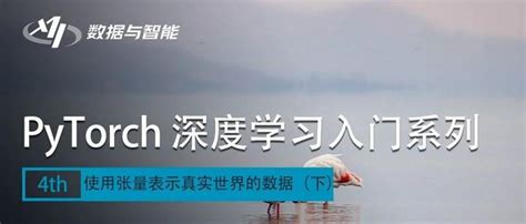 「pytorch深度学习入门」4 使用张量表示真实世界的数据：文本处理 知乎