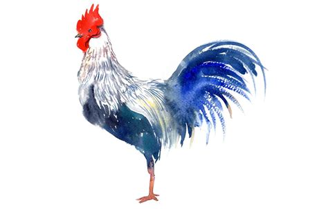 Polygonal Gallic Rooster In French Flag Silhouette Of 59 OFF