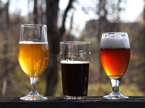 Maduraci N De Cerveza Artesanal C Mo Hacer Cerveza Artesanal En Casa