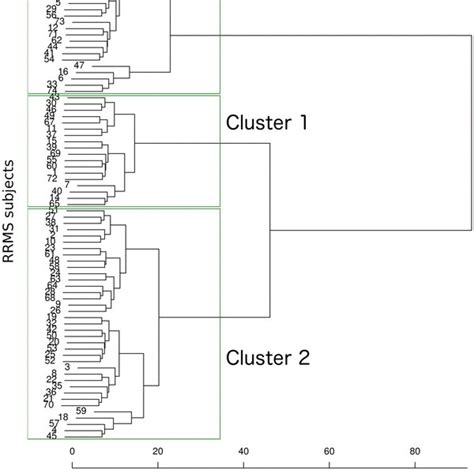 Dendrogram Of The Hierarchical Cluster Analysis Each Of The 74 Rrms Download Scientific
