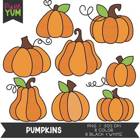 Asian Squash Cliparts Stock Vector And Royalty Free Asian Squash