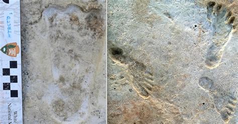 Fossil Footprints Discovery Is Earliest Known Trace Of Humans In North