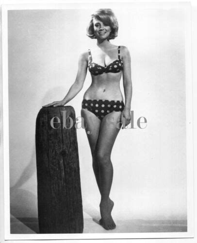 INGER STEVENS Vintage PHOTO Busty Bikini SEXY Belly Button BARE LEGS
