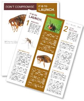 Large Flea Newsletter Template Design ID 0000008549 SmileTemplates