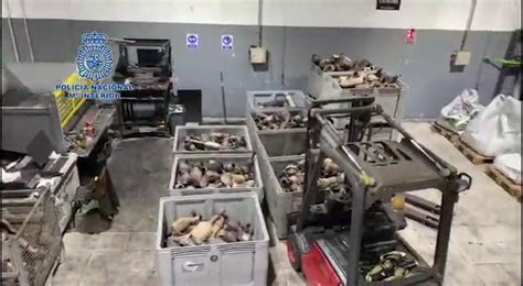Cae la mayor red dedicada al robo de catalizadores que después