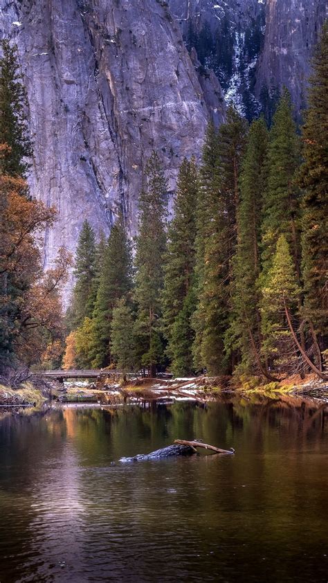 Rzeka Merced W Parku Narodowym Yosemite Tapeta Na Telefon