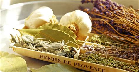 Van Nice Antibes St Paul De Vence Tour Met Wijnproeverij GetYourGuide