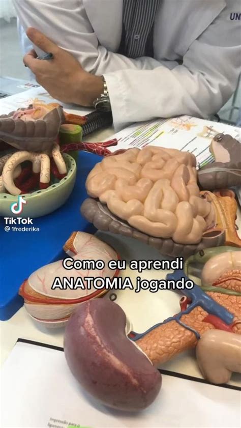 Pin Von Andrea Otero Auf Aparato Urinario Anatomie Und Physiologie
