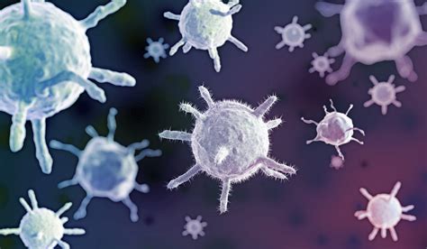 Cómo se contagia el Virus del Papiloma Humano Ginefem