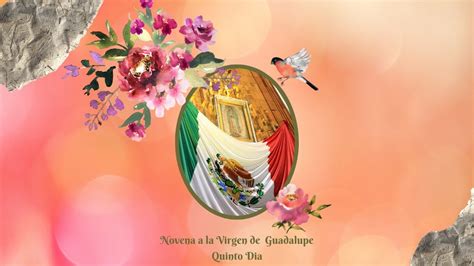 Novena Milagrosa a la Virgen de Guadalupe Día 5 Hoy 08 de diciembre