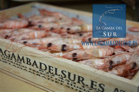 Gambas Blancas De Huelva La Gamba Del Sur