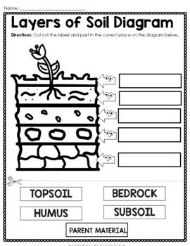 Soil Layers Worksheet