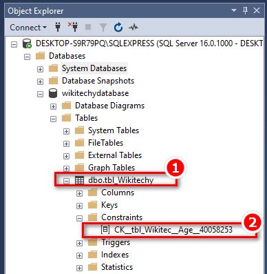 Sql Check Constraint With Examples How To Use Sql Check Constraints