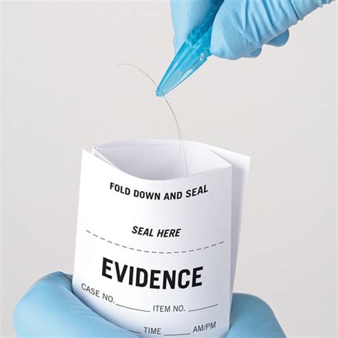 Physical Evidence Flashcards Quizlet