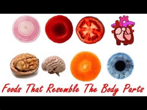 Foods That Resemble The Body Parts Science Vs Nature Youtube