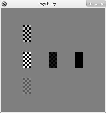 Polkadot Js Enoent No Such File Or Directory On Compile And Deploy