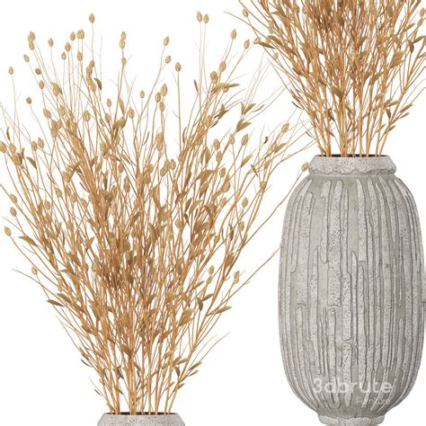 Bouquet Dry Plants 02 3dbrute 3dmodel Furniture And Decor